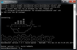 Simple Truth about Containers - My Review of The Docker Book