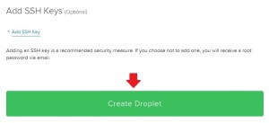 How to Install WordPress on DigitalOcean Using ServerPilot
