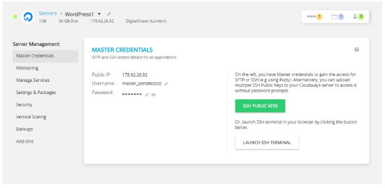 Cloudways Review: Pros/Cons, Benefits, Pricing, Options, Q&A
